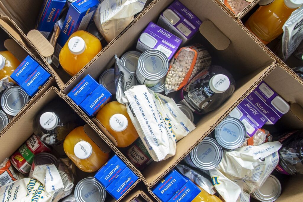 Commodity Supplemental Food Program (CSFP)